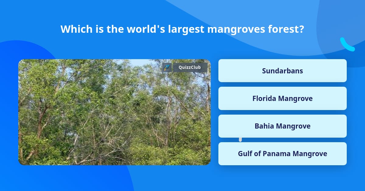 Which Is The world s Largest Trivia Answers QuizzClub which-is-the-world-s-largest-trivia-answers-quizzclub
