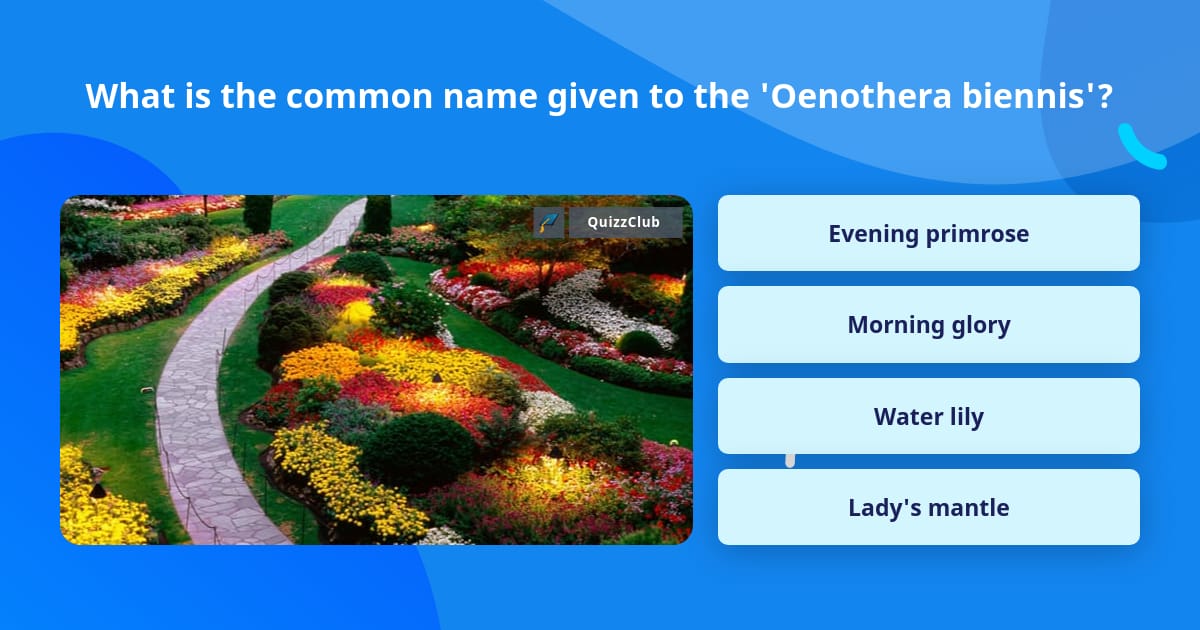 What is the common name given to the... | Trivia Answers | QuizzClub
