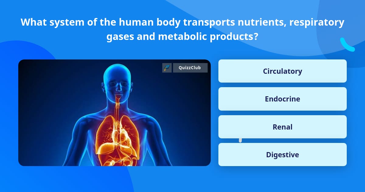 What system of the human body... | Trivia Questions | QuizzClub