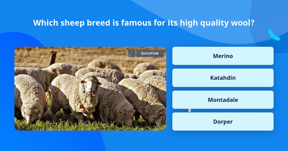 Which sheep breed is famous for its... | Trivia Questions | QuizzClub
