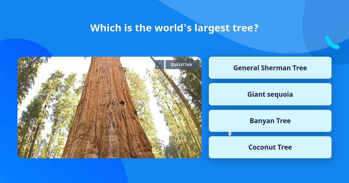 Which is the world's largest tree? | Trivia Answers | QuizzClub