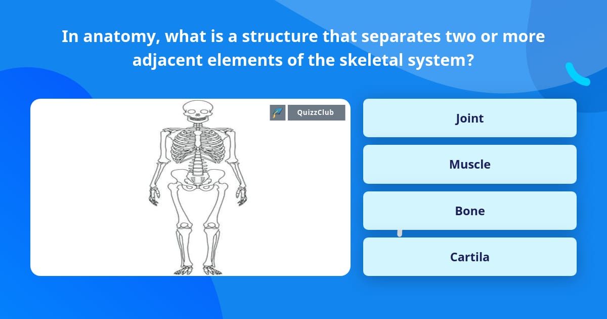 In anatomy, what is a structure that... | Trivia Answers | QuizzClub