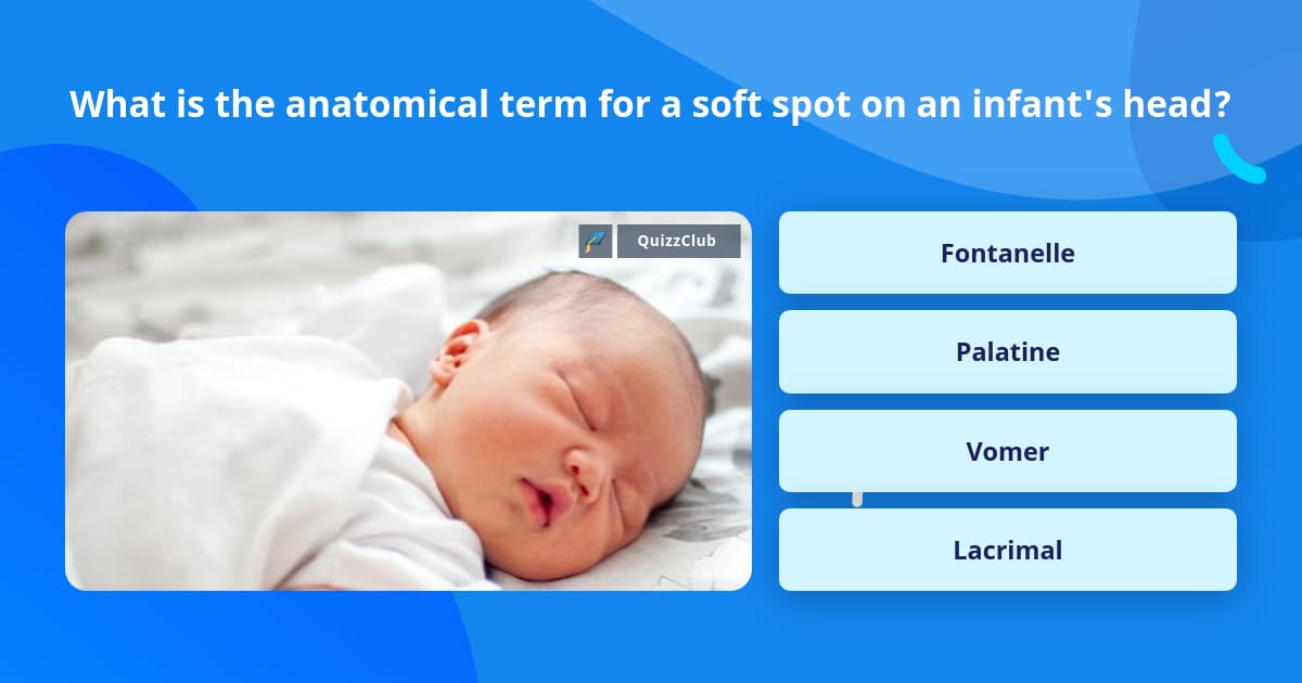 What Is The Anatomical Term For A Trivia Questions QuizzClub what-is-the-anatomical-term-for-a-trivia-questions-quizzclub