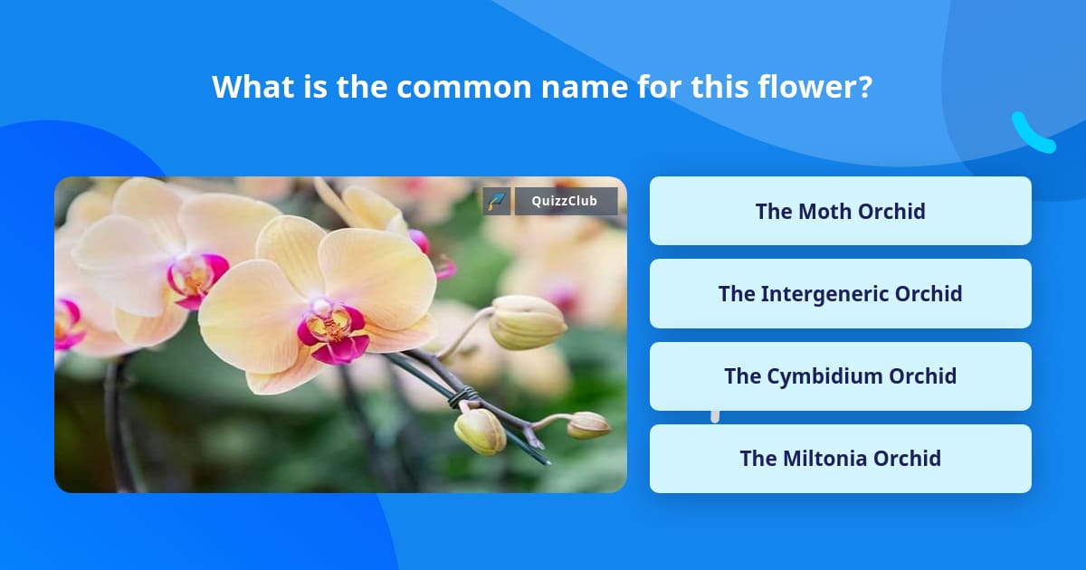 what-is-the-common-name-for-this-flower-trivia-ions