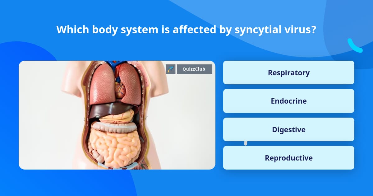 Which Body System Is Affected By Trivia Questions QuizzClub which-body-system-is-affected-by-trivia-questions-quizzclub