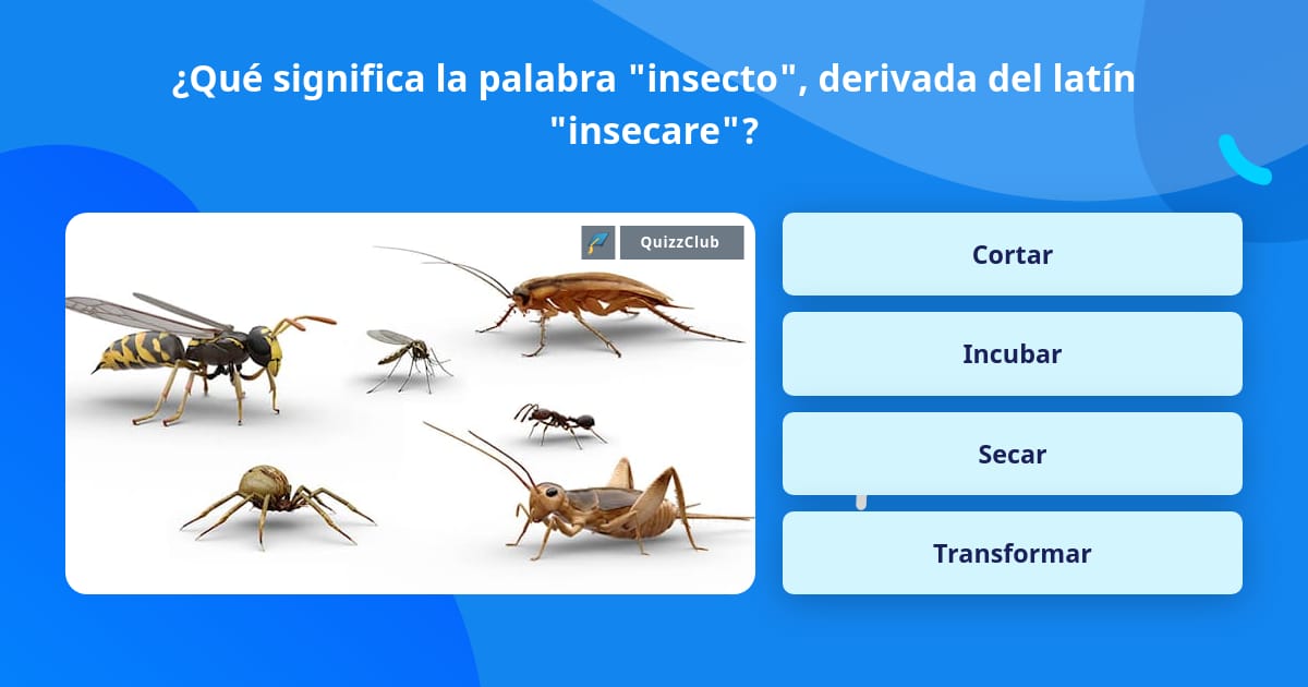 ¿Qué significa la palabra "insecto",... | Las Preguntas Trivia