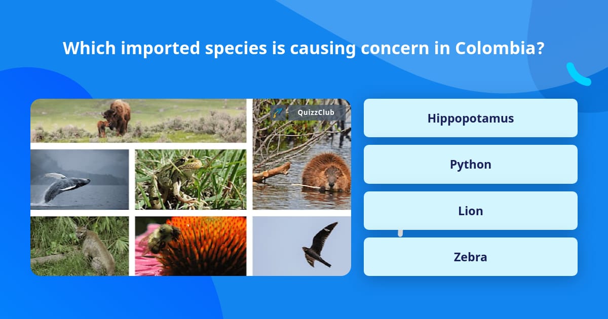 Which imported species is causing... | Trivia Answers | QuizzClub
