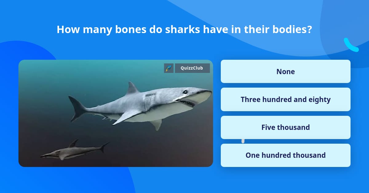 how-many-bones-do-sharks-have-in-trivia-answers-quizzclub