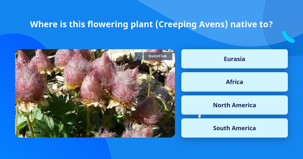Where is this flowering plant... | Trivia Questions | QuizzClub