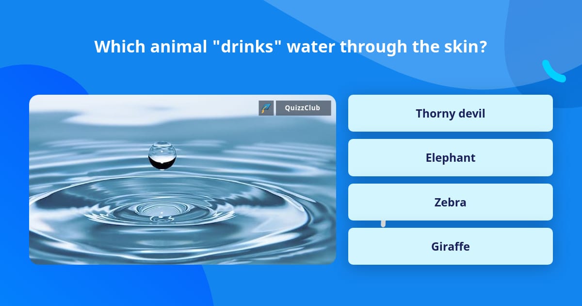 Which animal "drinks" water through... | Trivia Answers | QuizzClub