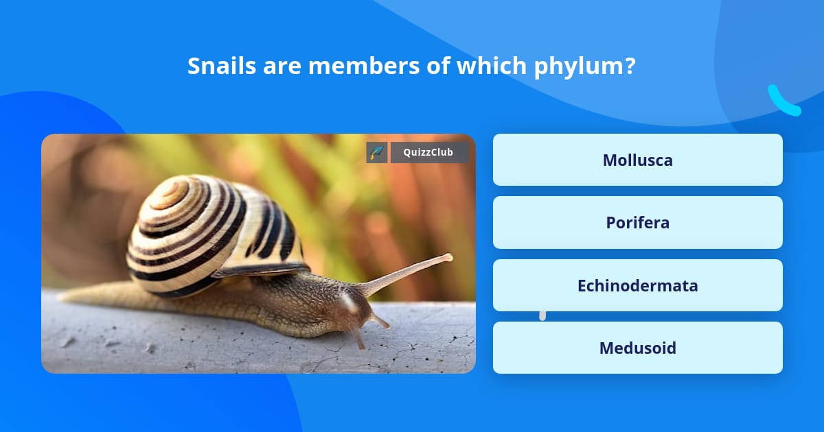 Snails are members of which phylum? | Trivia Questions | QuizzClub