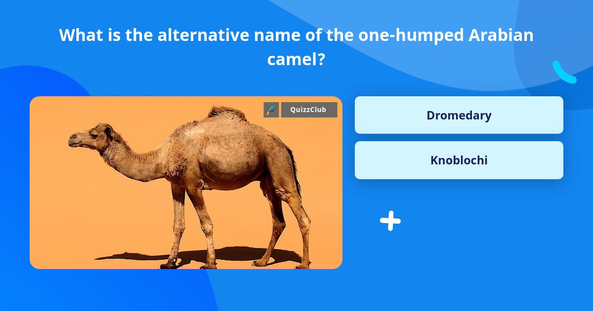 What is the alternative name of the... | Trivia Questions | QuizzClub