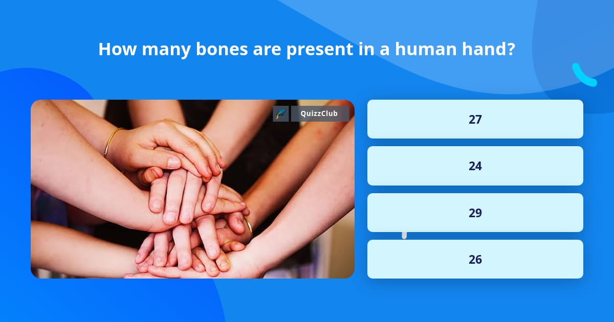 How Many Bones Are Present In A Trivia Questions QuizzClub how-many-bones-are-present-in-a-trivia-questions-quizzclub