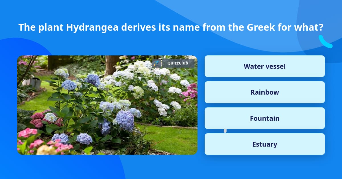 The plant Hydrangea derives its name... | Trivia Questions | QuizzClub