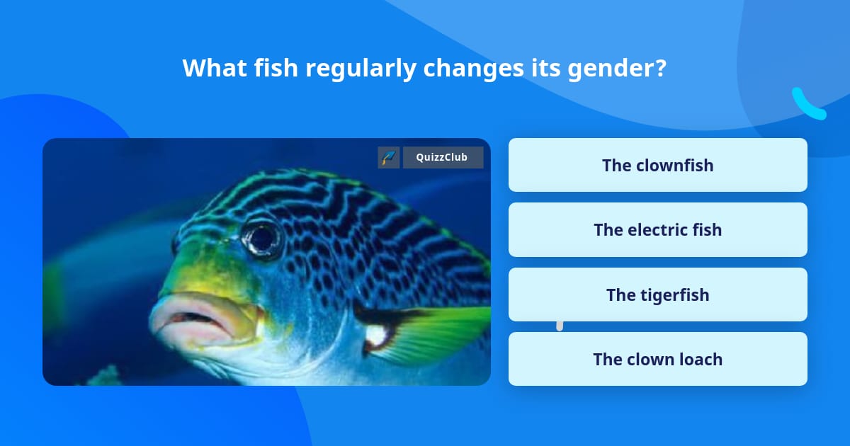 What fish regularly changes its gender? | Trivia Questions | QuizzClub