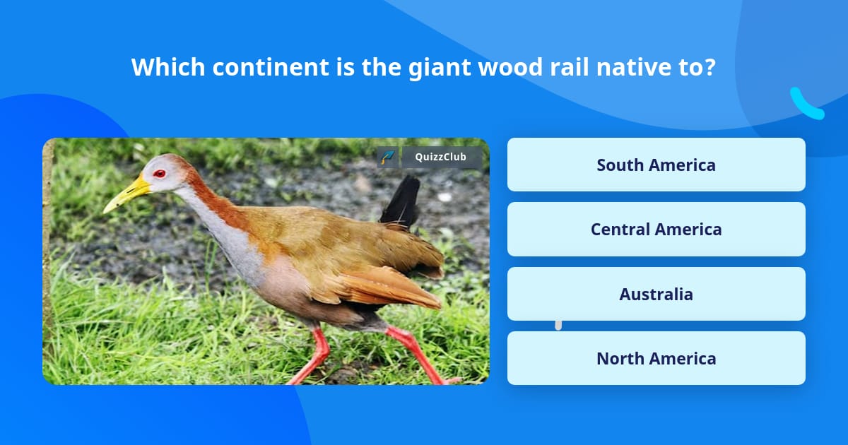 Which continent is the giant wood... | Trivia Answers | QuizzClub