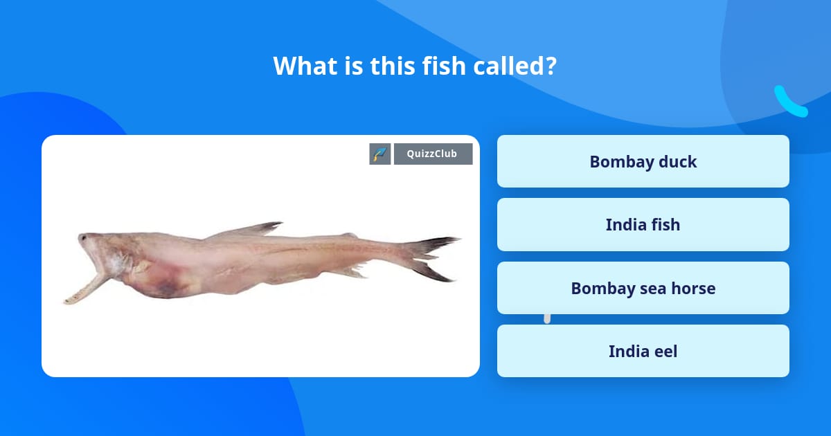 What is this fish called? | Trivia Questions | QuizzClub