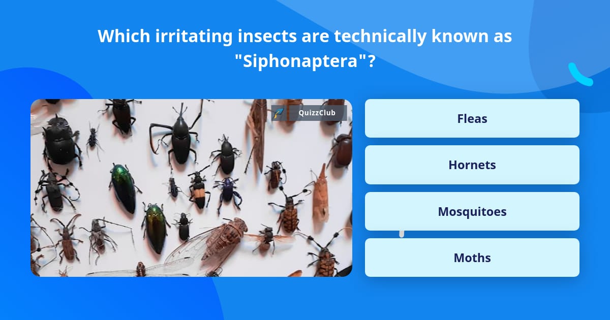 Which irritating insects are... | Trivia Questions | QuizzClub