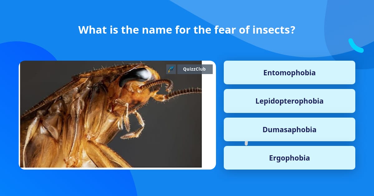 What is the name for the fear of... | Trivia Questions | QuizzClub