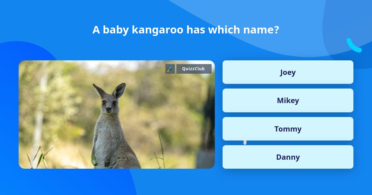 A baby kangaroo has which name? | Trivia Questions | QuizzClub