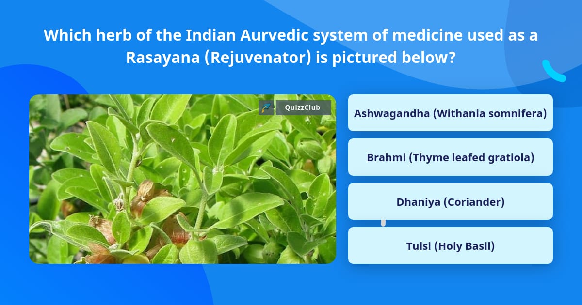 Which herb of the Indian Aurvedic... | Trivia Answers | QuizzClub