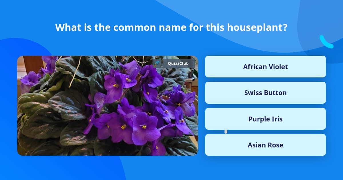 What is the common name for this... | Trivia Questions | QuizzClub
