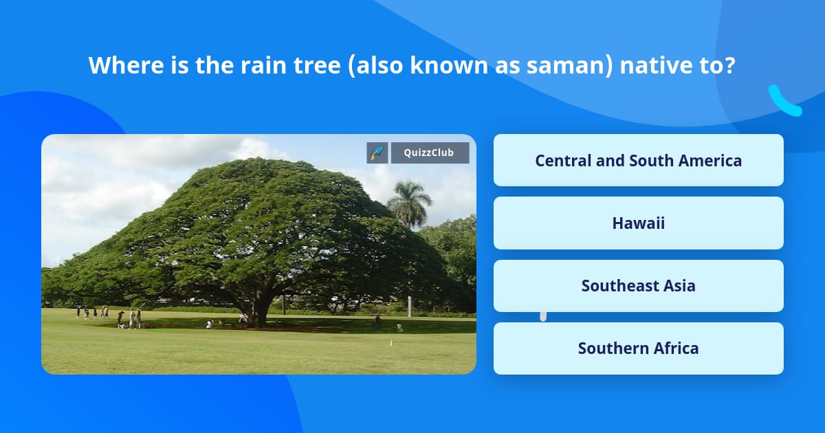 Where is the rain tree (also known... | Trivia Questions | QuizzClub