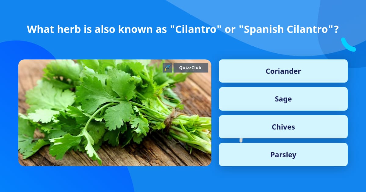 What herb is also known as... | Trivia Answers | QuizzClub