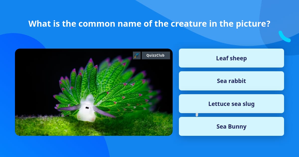 What is the common name of the... | Trivia Questions | QuizzClub