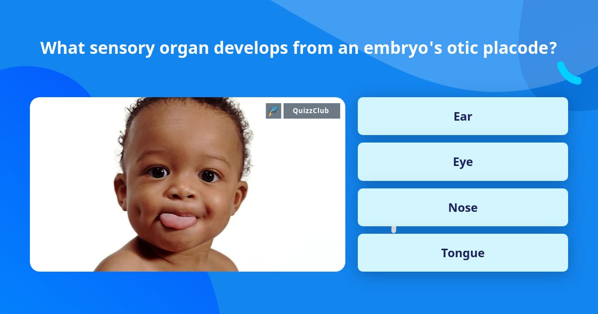 What sensory organ develops from an... | Trivia Questions | QuizzClub