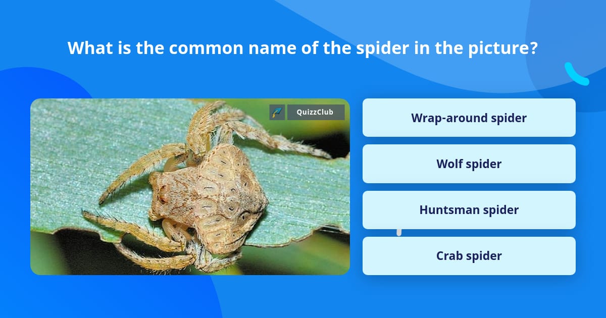 What is the common name of the... | Trivia Questions | QuizzClub