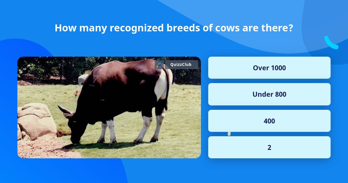 How many recognized breeds of cows... | Trivia Answers | QuizzClub