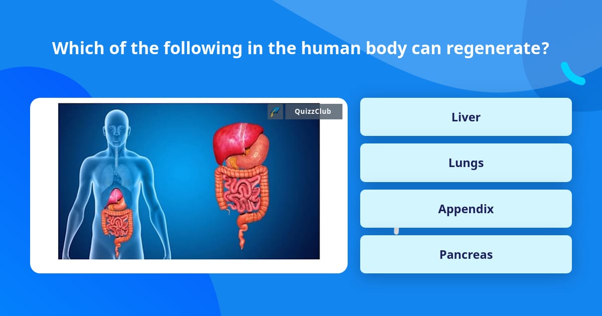 Which of the following in the human... | Trivia Answers | QuizzClub