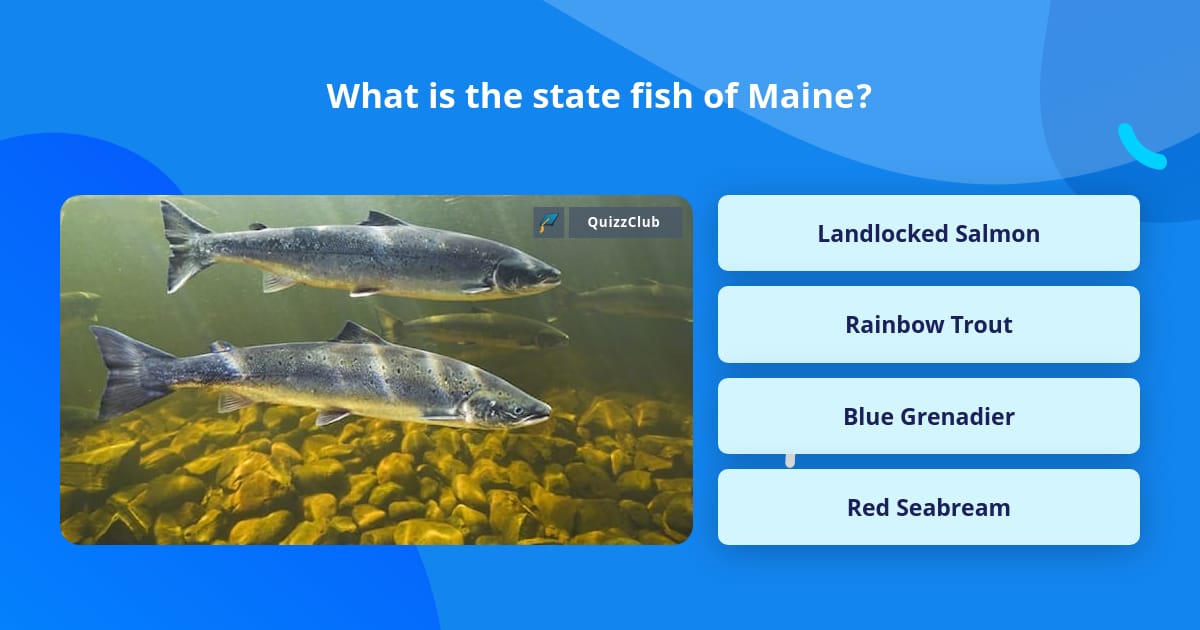 What is the state fish of Maine? | Trivia Questions | QuizzClub