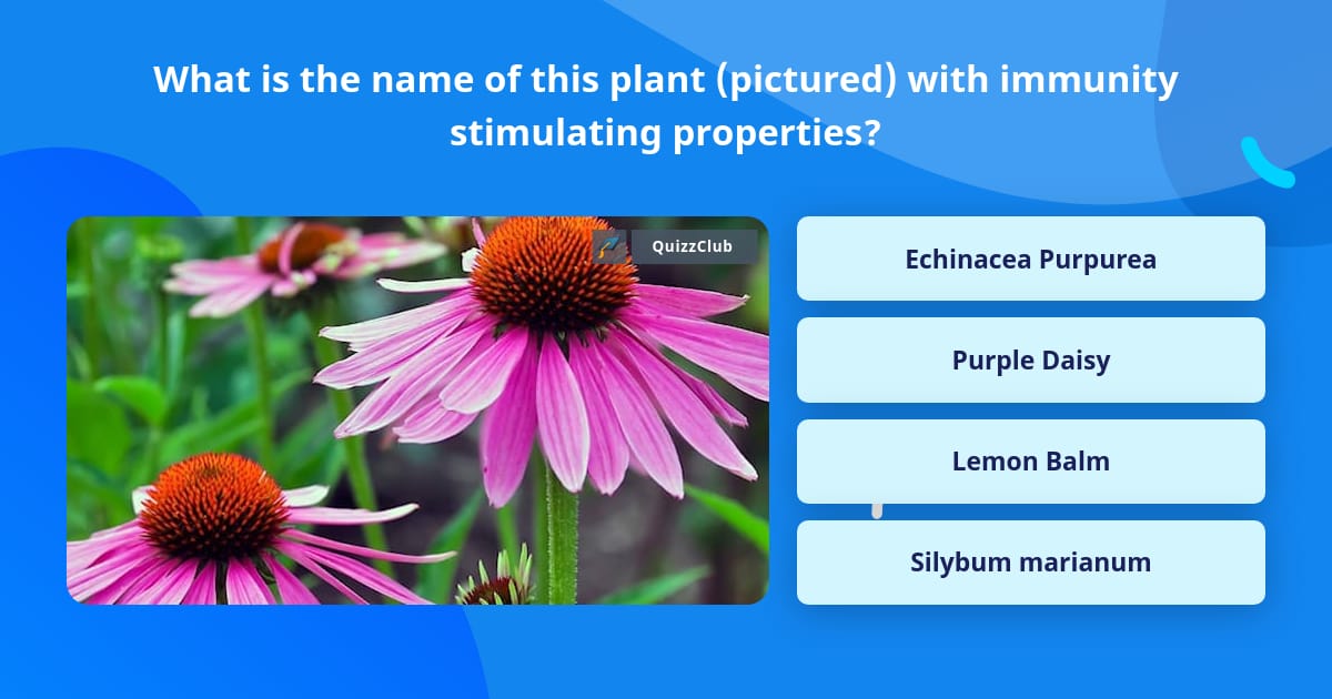 What is the name of this plant... | Trivia Questions | QuizzClub