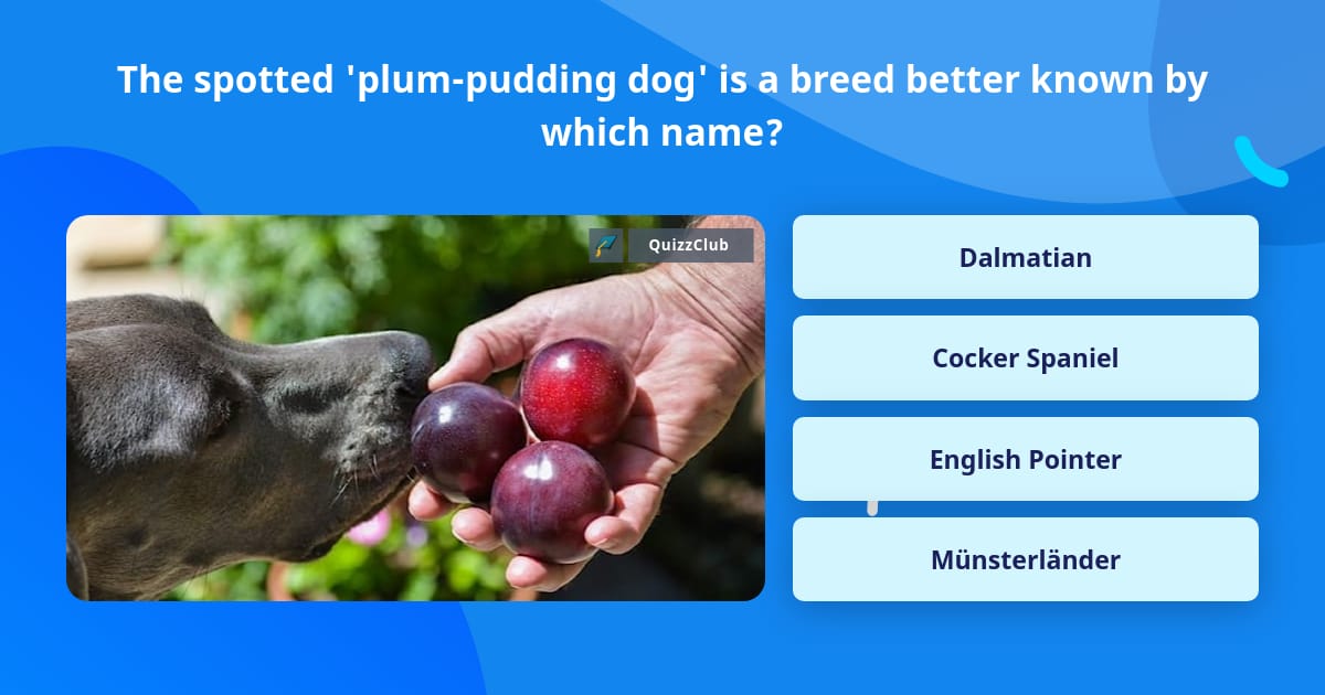 The spotted 'plum-pudding dog' is a... | Trivia Questions | QuizzClub