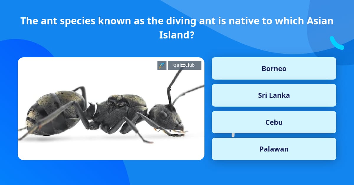 The ant species known as the diving... | Trivia Questions | QuizzClub