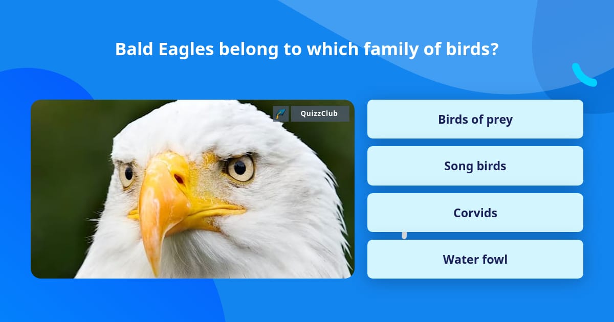 Bald Eagles belong to which family... | Trivia Questions | QuizzClub