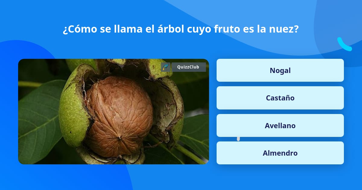 ¿Cómo se llama el árbol cuyo fruto... | Las Preguntas Trivia
