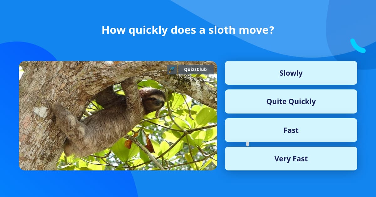 How quickly does a sloth move? | Trivia Answers | QuizzClub