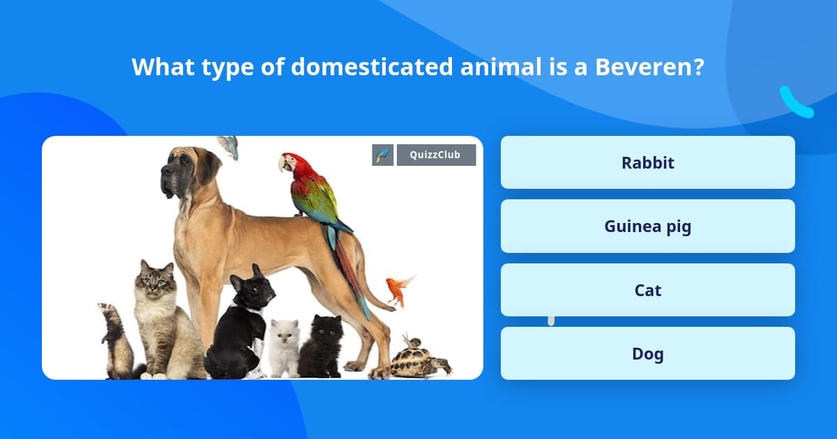 What type of domesticated animal is... | Trivia Questions | QuizzClub