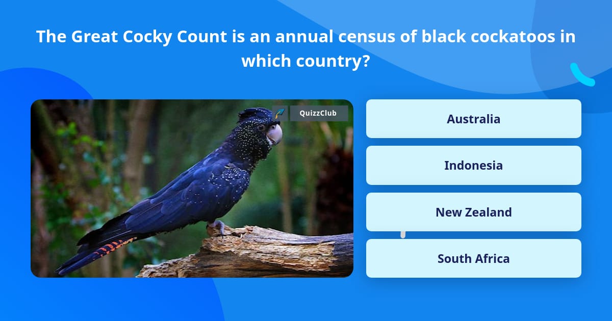 The Great Cocky Count is an annual... | Trivia Questions | QuizzClub
