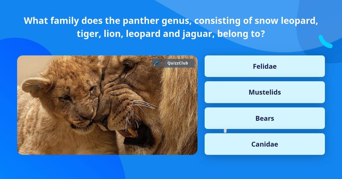 What family does the panther genus,... | Trivia Answers | QuizzClub