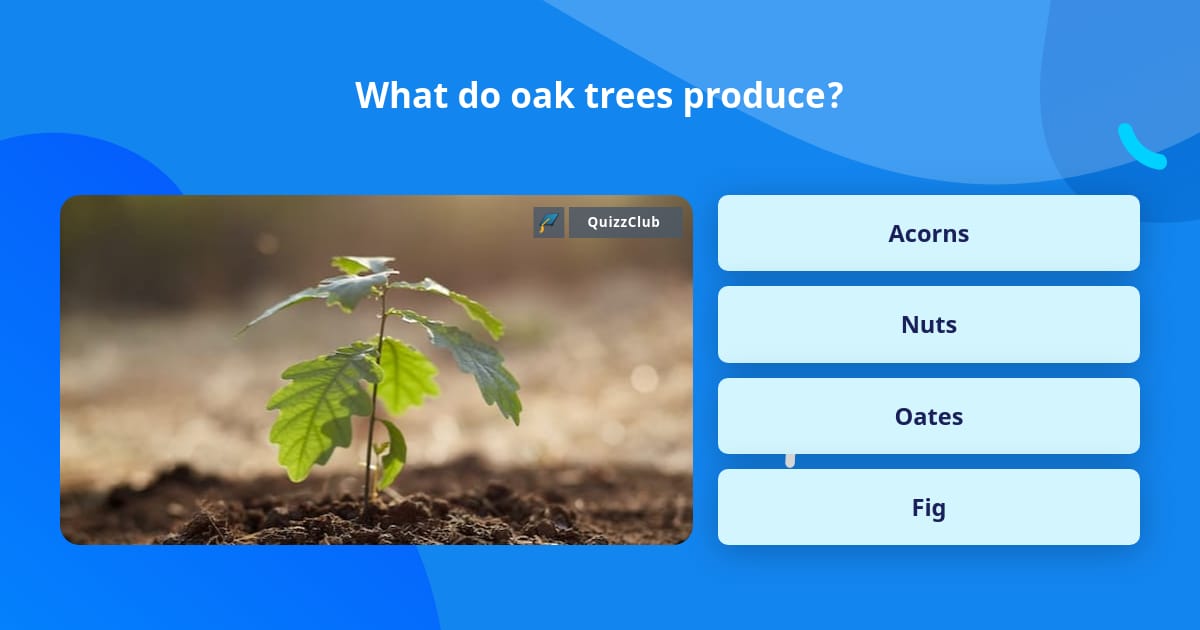What do oak trees produce? | Trivia Questions | QuizzClub