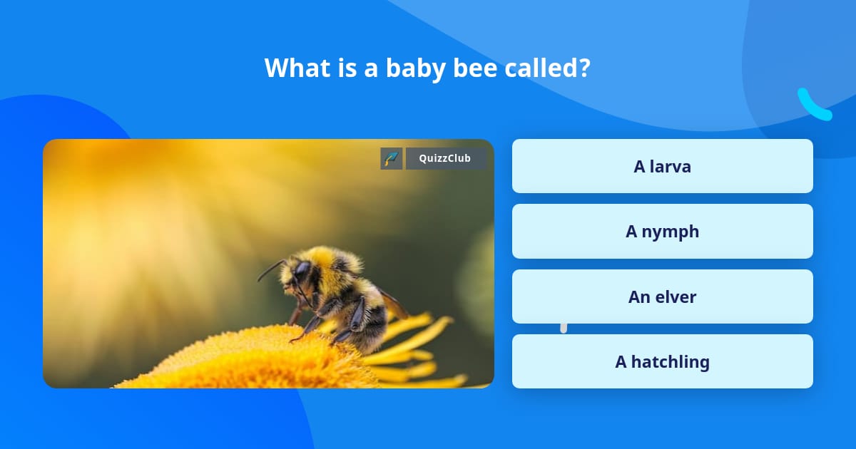 What is a baby bee called? | Trivia Questions | QuizzClub