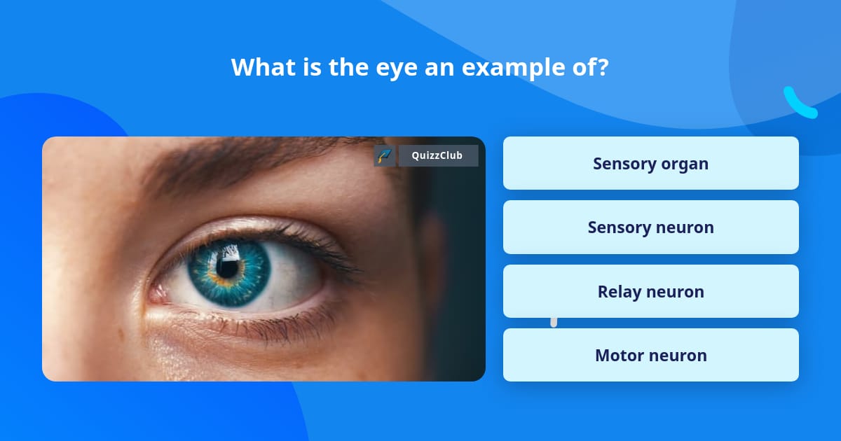 What is the eye an example of? | Trivia Answers | QuizzClub
