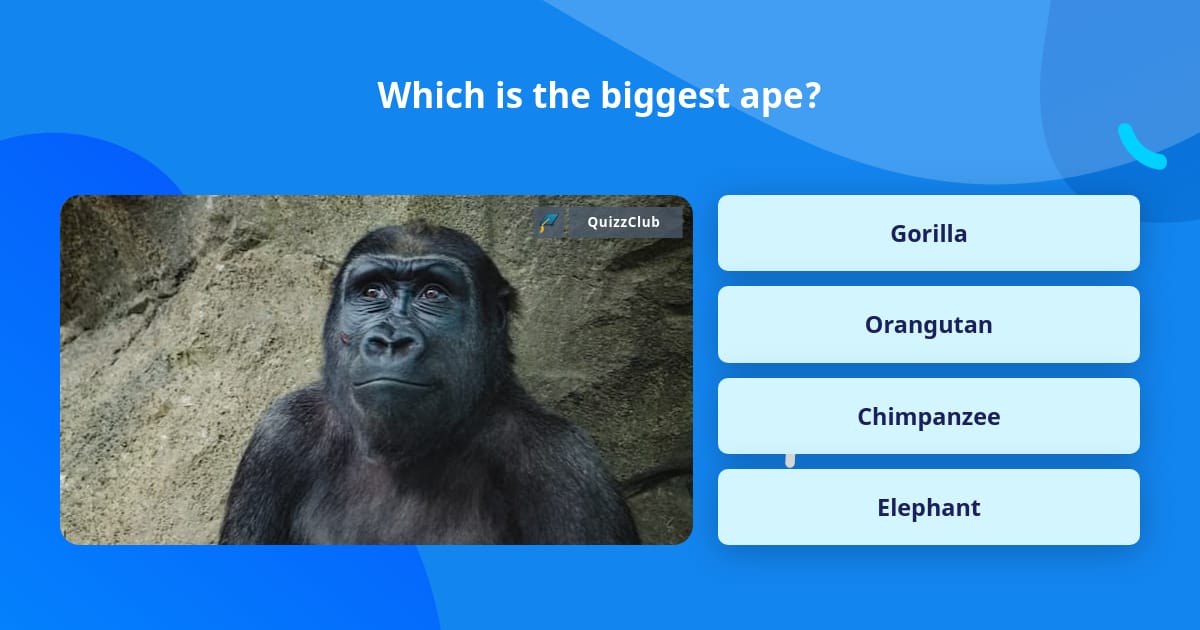 Which is the biggest ape? | Trivia Answers | QuizzClub