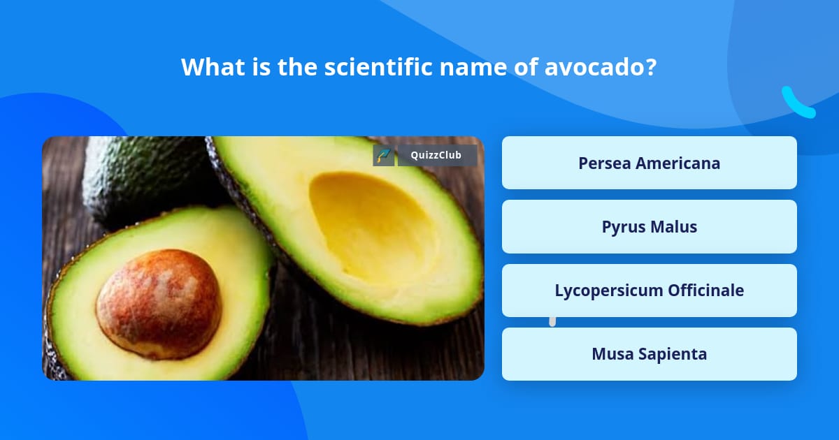 What is the scientific name of avocado? | Trivia Questions | QuizzClub