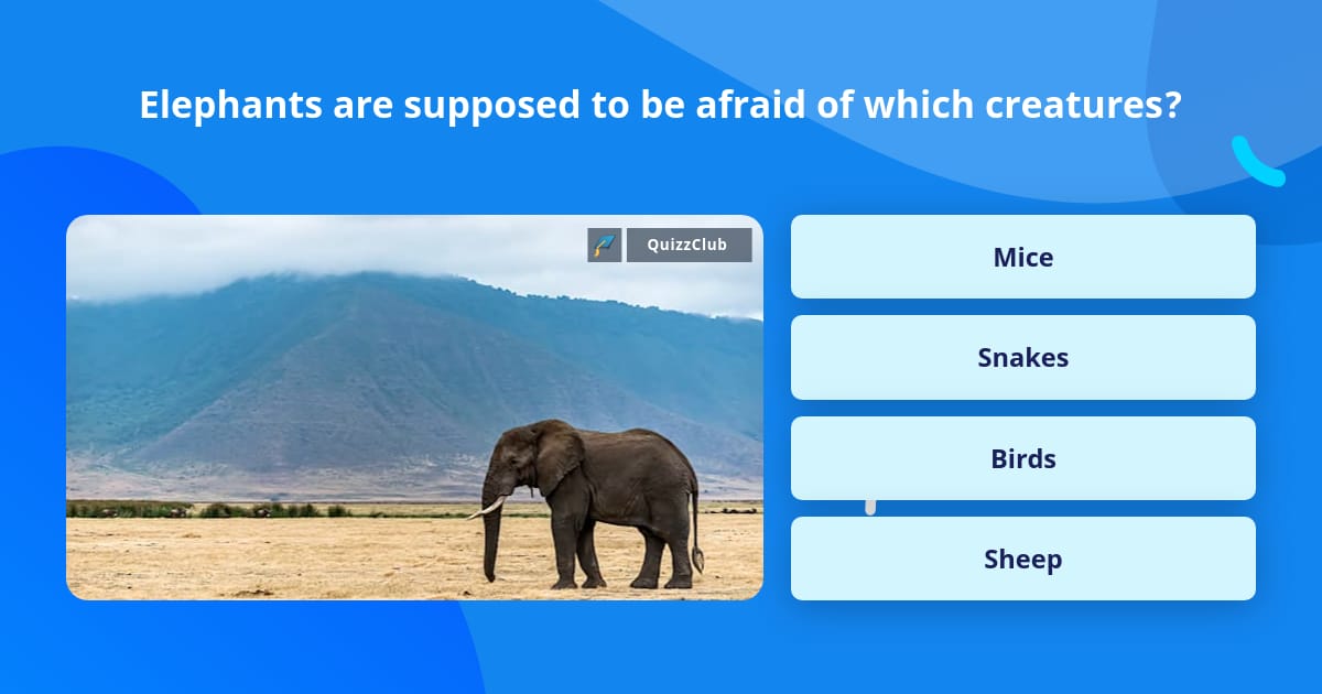 Elephants are supposed to be afraid... | Trivia Answers | QuizzClub
