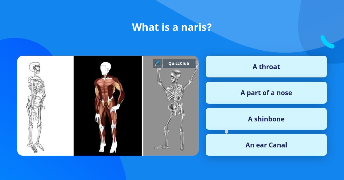 What is a naris? | Trivia Answers | QuizzClub